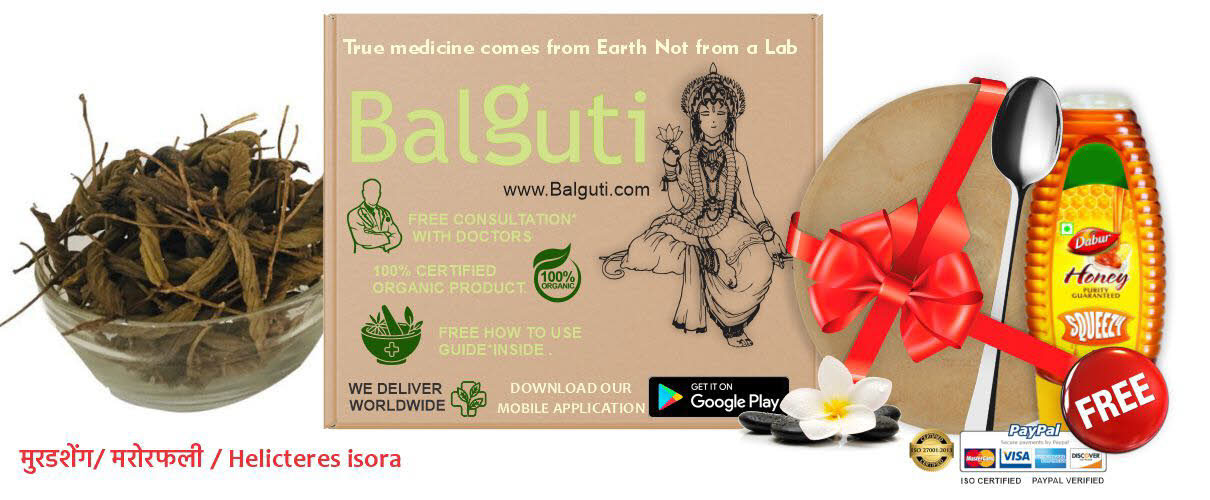 Helicteres isora / marod phali balguti ingredients