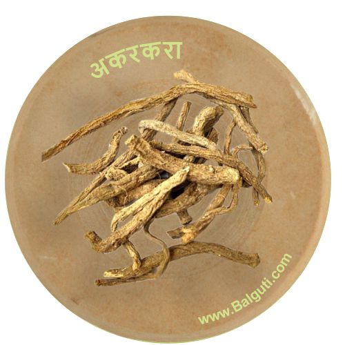 balguti ingredients अकरकरा Anarkara
