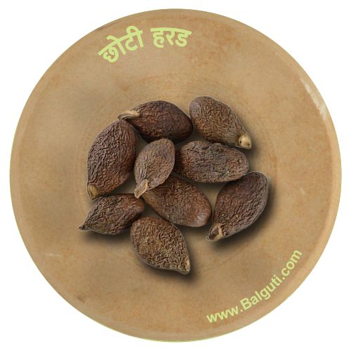 बाळहिरडा / Myrobalan / baahirada balguti ingredients