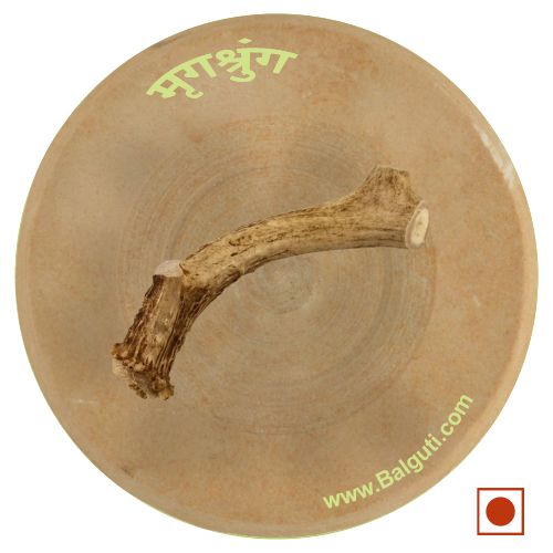 मृगश्रृंग / Deer Horns / mrgashrrng balguti ingredients