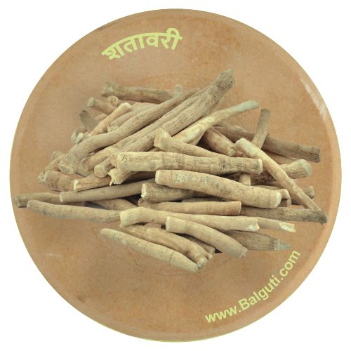 shatavari Balguti ingredient