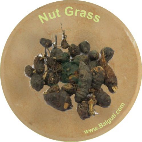 Nut Grass Nagarmotha balguti ingredients