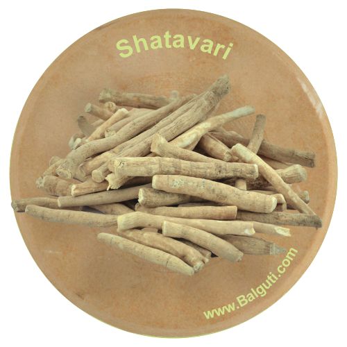 Asparagus racemosus shatavari शतावरी balguti ingredients